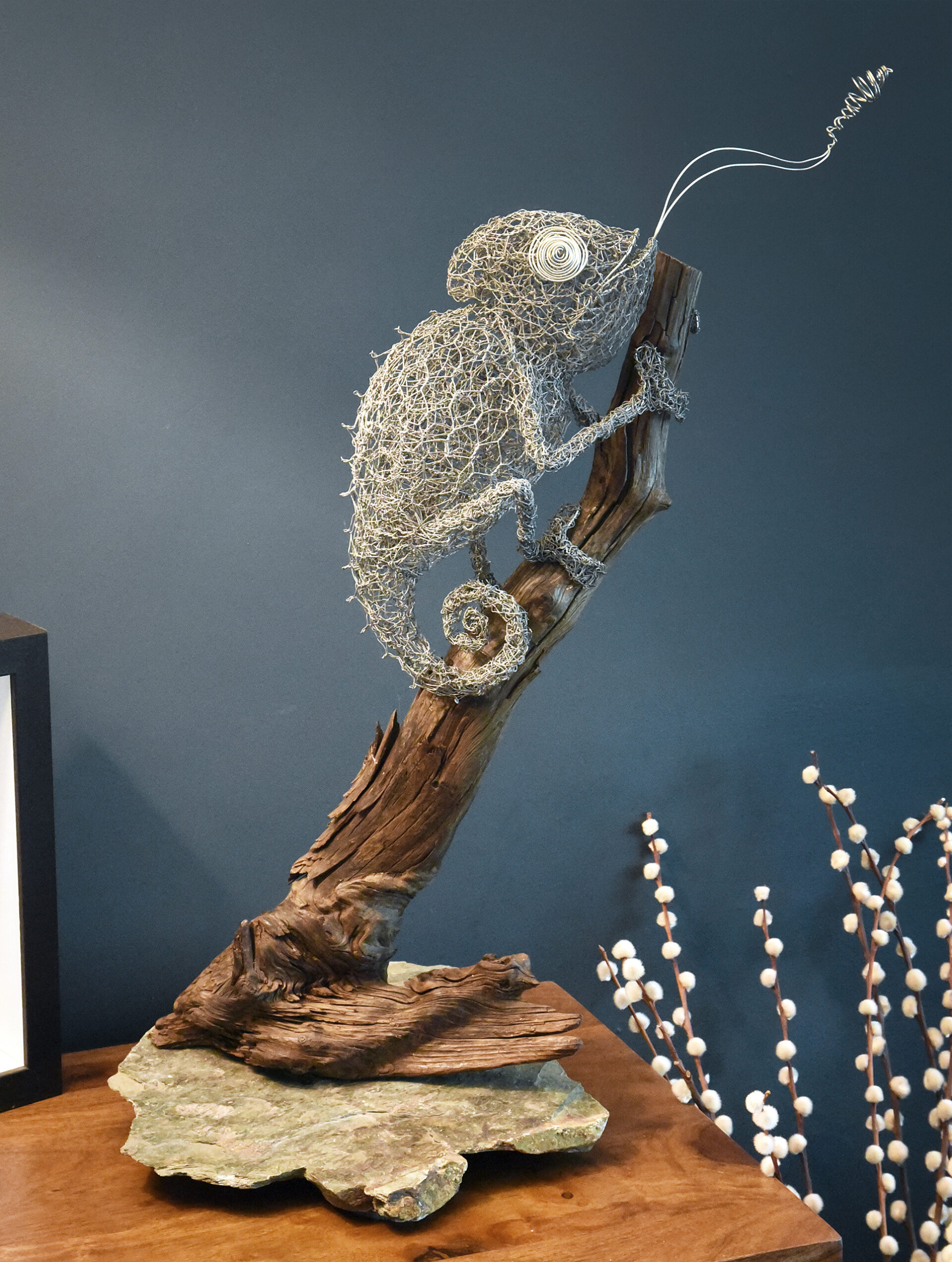 Django - 2023 | Twisted-Wire.co.uk